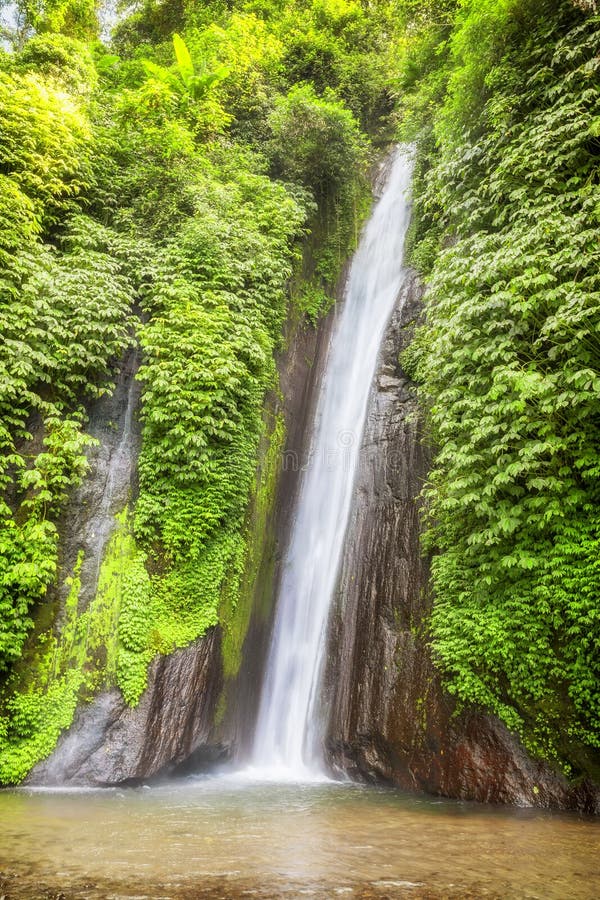Waterfall Bali stock photo. Image of asia, famous, fall - 68273142