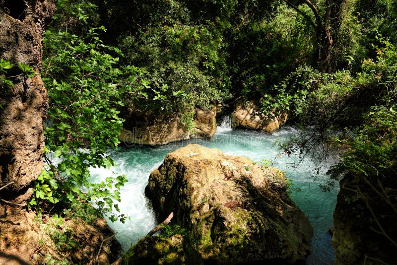 Waterfall in the Banias Nature Reserve Stock Image - Image of outdoor ...