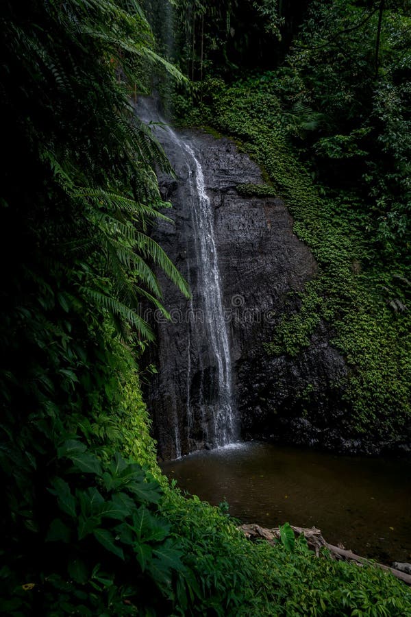 Waterfall Banyu Anjlok stock photo. Image of waterfall - 203648034