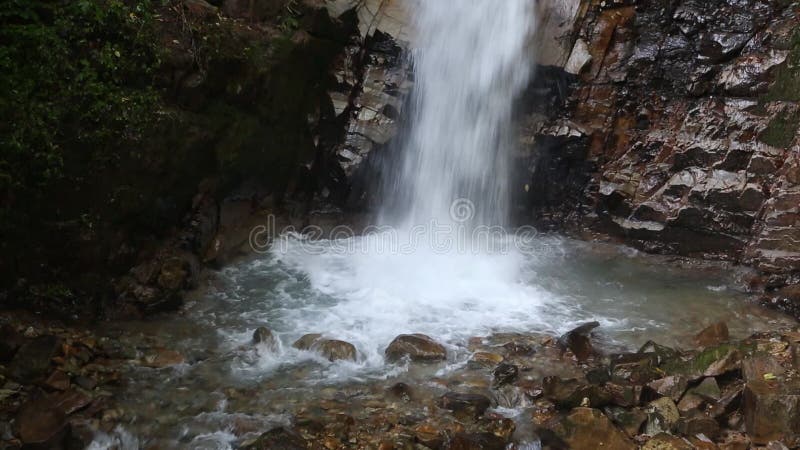 Waterfall Basin in the Mountains Stock Footage - Video of basin, forest ...