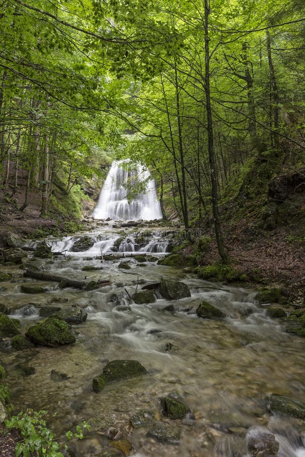 Waterfall in Bavaria, Germany Stock Image - Image of forest, outdoors ...