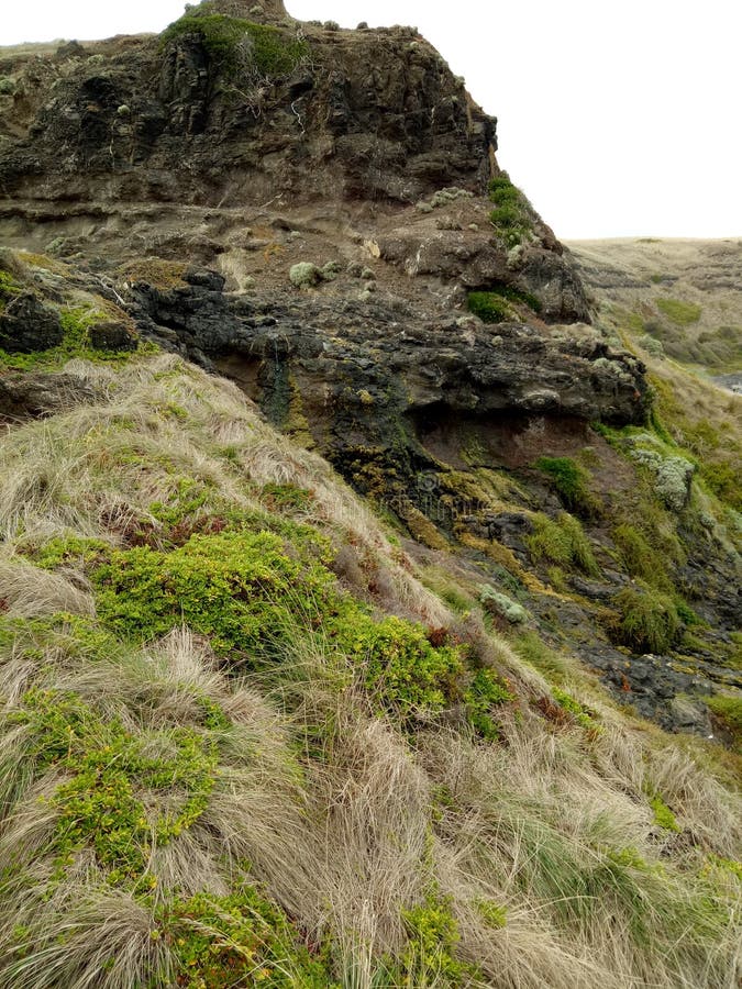Waterfall at the beach stock image. Image of waterfall - 117530997