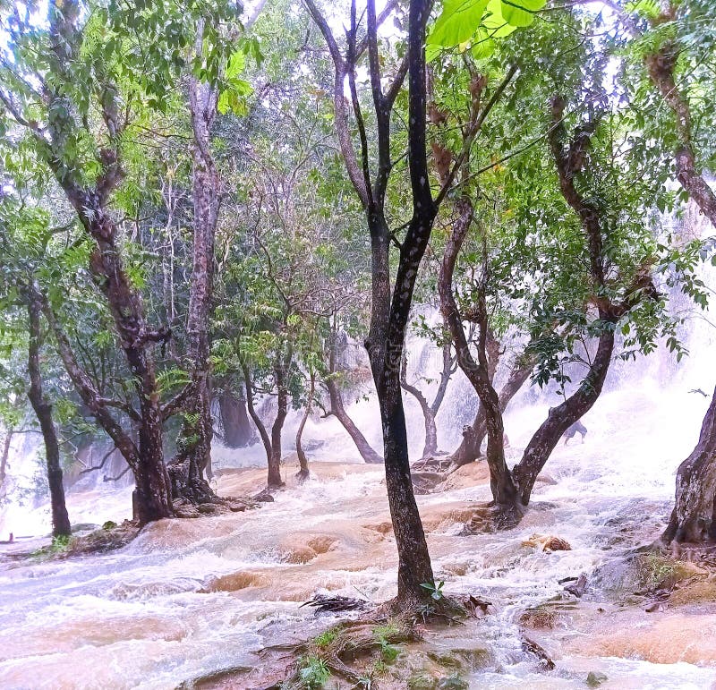 Waterfall on the Beach on the Island of Java Stock Photo - Image of ...
