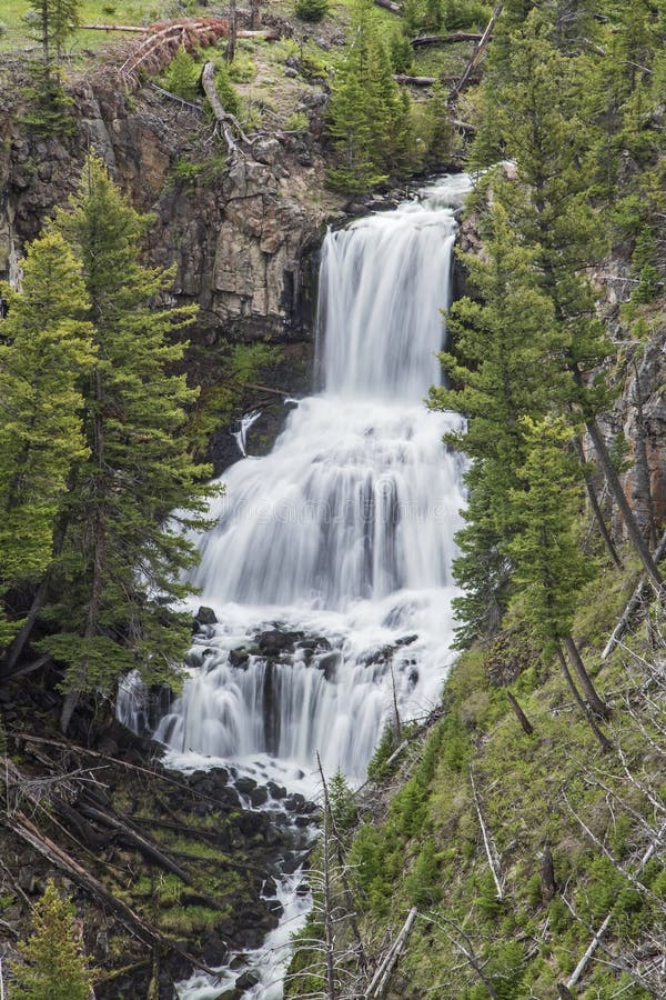 Undine Falls in Yellowstone National Park Stock Image - Image of fall ...
