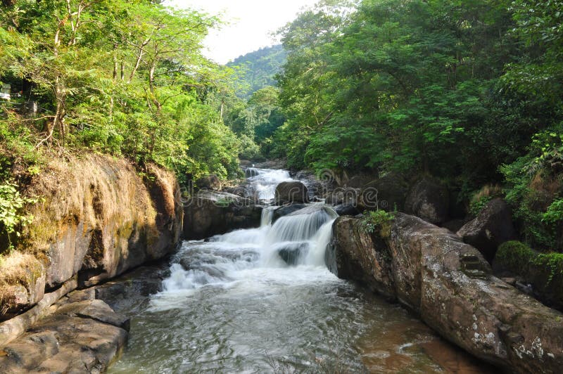 Waterfall top view stock photo. Image of tropical, tree - 120307972