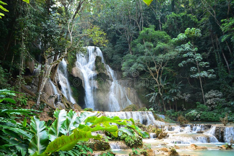 Waterfall top view stock photo. Image of tropical, tree - 120307972