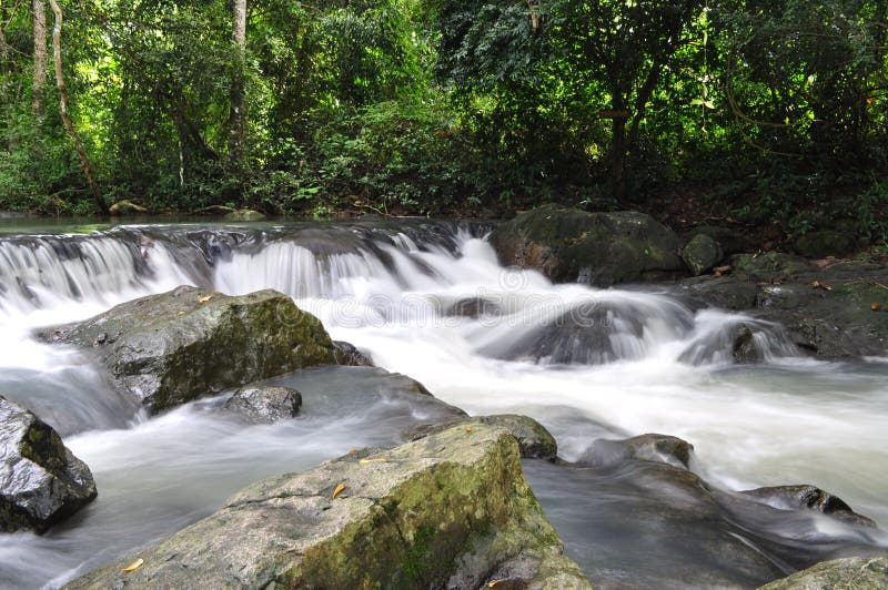 Waterfall top view stock photo. Image of tropical, tree - 120307972
