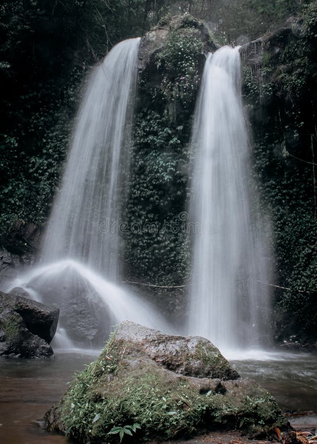 Waterfall in a Beautiful Forest Landscape Nature Stock Image - Image of ...