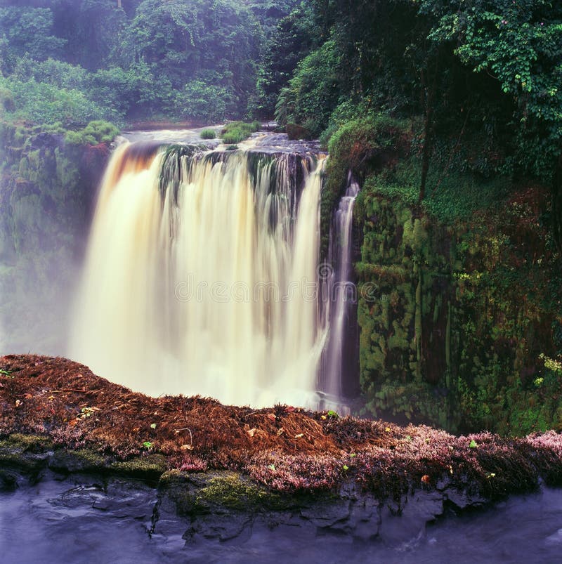 Waterfall stock image. Image of water, arroyo, jungle - 90103557