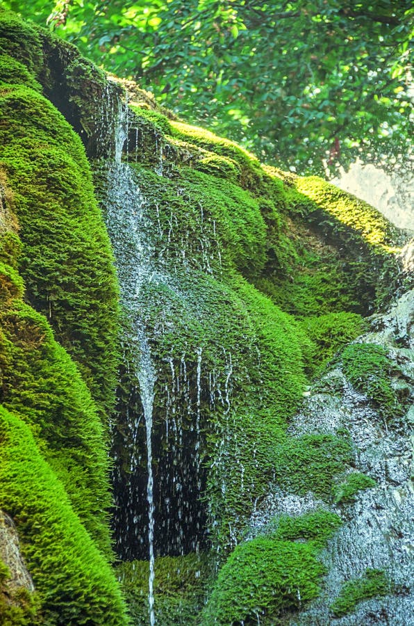 Waterfall. Beautiful Nature. Chill and Relax. Stock Photo - Image of ...