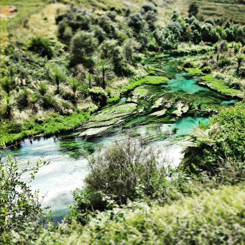 Vegetatio Landscape Stock Photos - Free & Royalty-Free Stock Photos ...