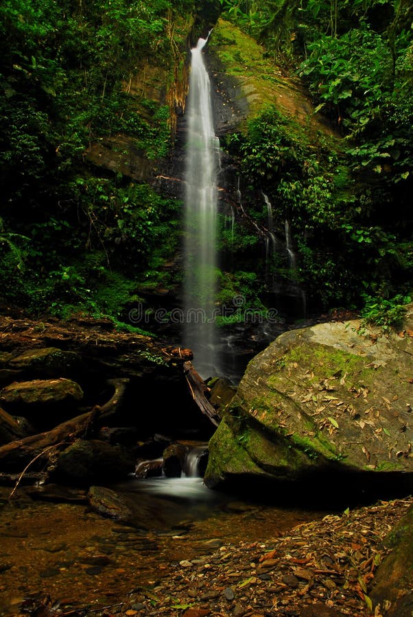 Waterfall stock photo. Image of brook, secluded, stream - 85525438