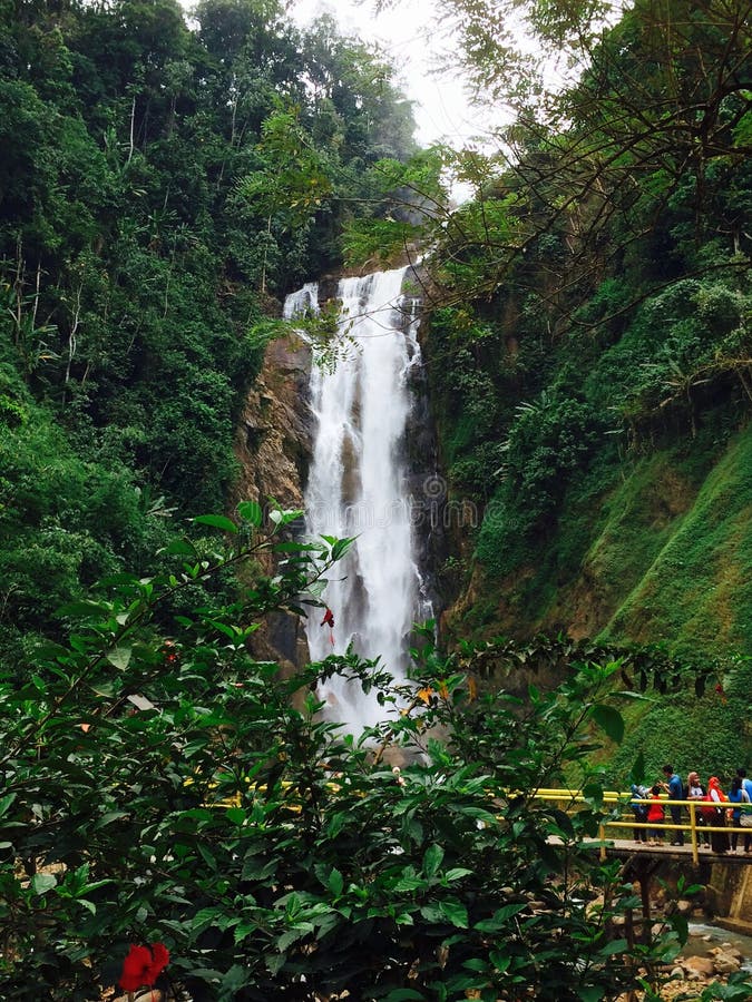 Waterfall stock image. Image of green, indonesia, nature - 89290509