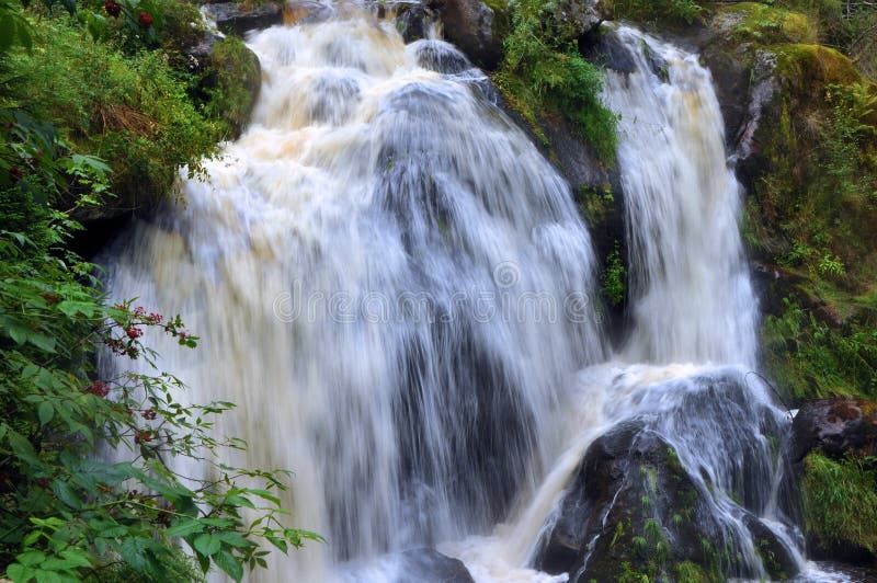 Waterfall in the Black Forest in Triberg Stock Image - Image of ...