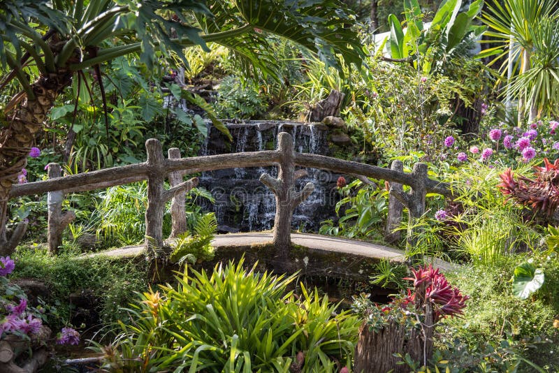 Waterfall in Botanic Gardens Stock Photo - Image of spray, botanic: 937650