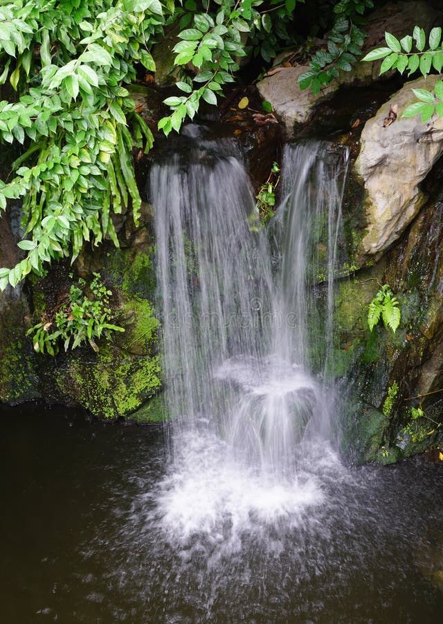 Waterfall at Botanic Garden Stock Image - Image of moss, meditate: 3094605