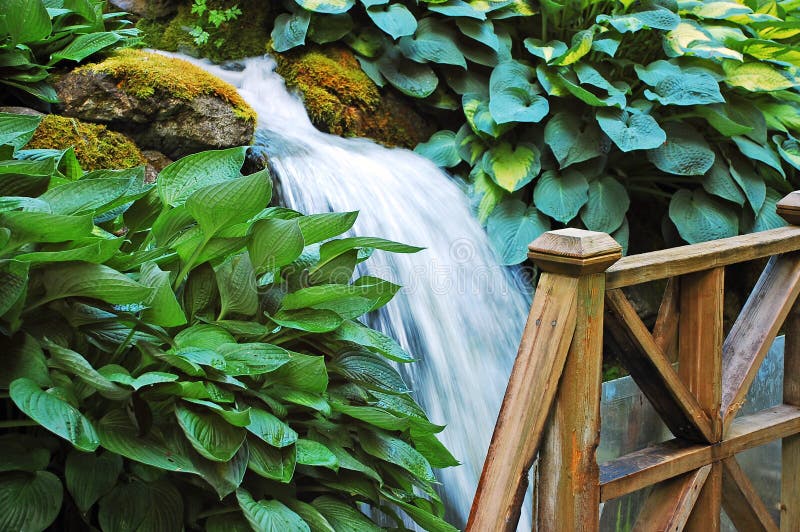 Waterfall in Botanical Garden Stock Photo - Image of nature, waterfall ...