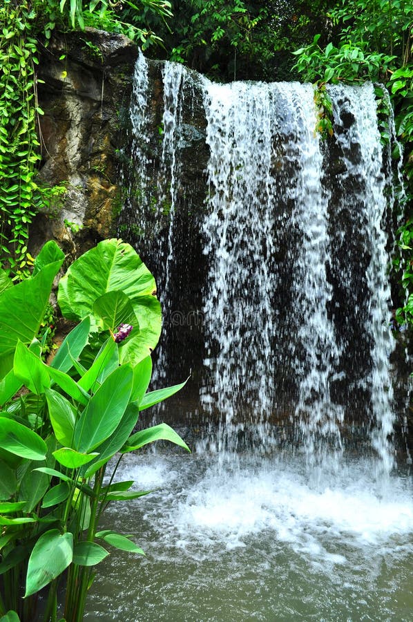 Waterfall at Botanical Garden Stock Photo - Image of waterfall, plant ...