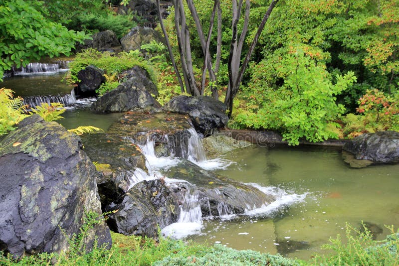 Waterfall in Botanical Garden Stock Image - Image of plant, stone ...