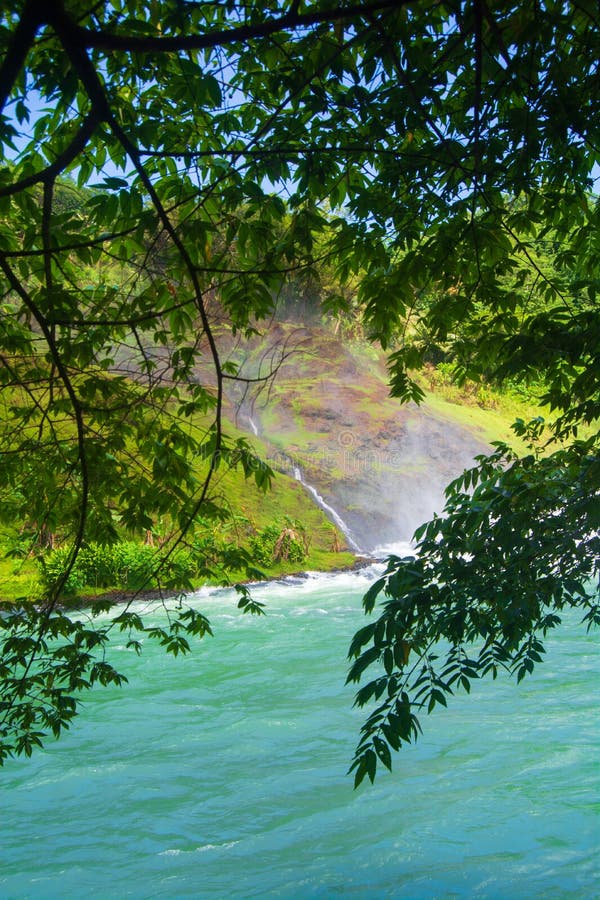 A Waterfall with a Bright Green River Below it Stock Image - Image of ...