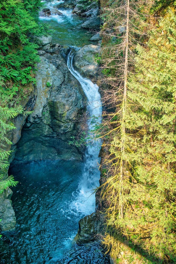 Waterfall in British Columbia Forest, Canada Stock Image - Image of ...