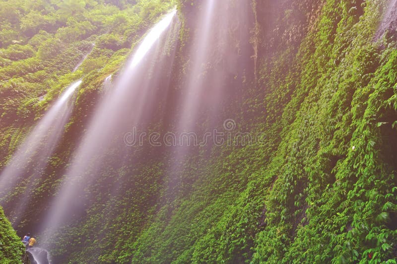 Madakaripura Waterfall in Bromo Tengger Semeru National Park Indonesia ...