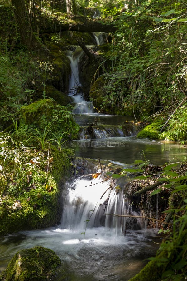 Waterfall And Brook In Mountain Forest Ravine Stock Image - Image of ...