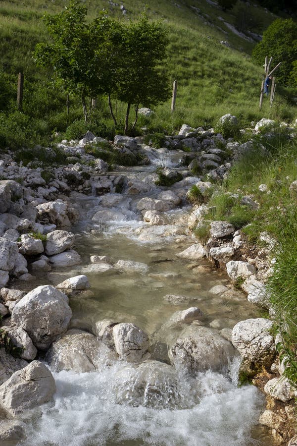 Waterfall brook stock photo. Image of streams, rains, scene - 5450680