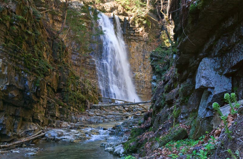 Waterfall and Brook in Mountain Forest Ravine Stock Image - Image of ...