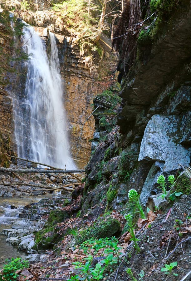 Waterfall and Brook in Mountain Forest Ravine Stock Photo - Image of ...
