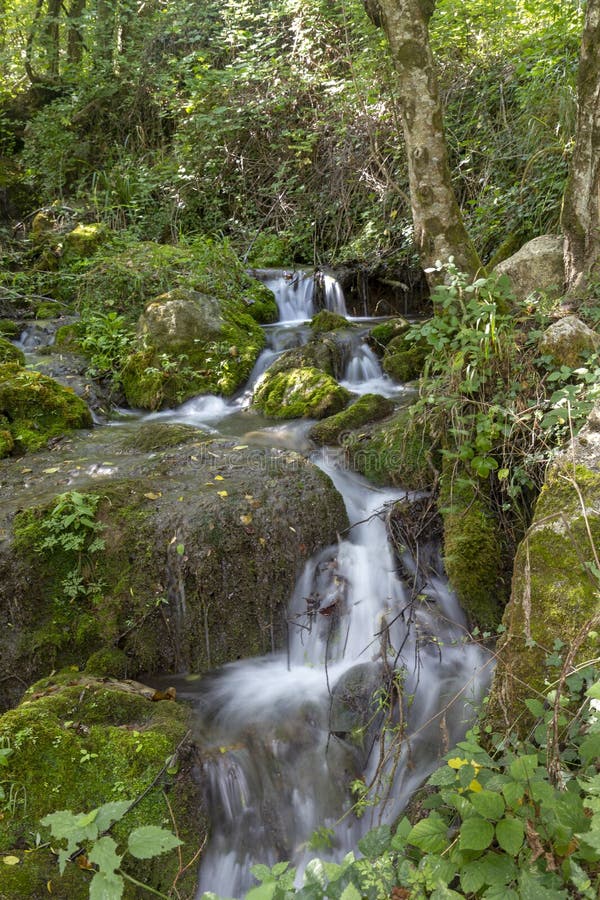 Waterfall brook stock image. Image of fall, nature, outdoor - 181018977