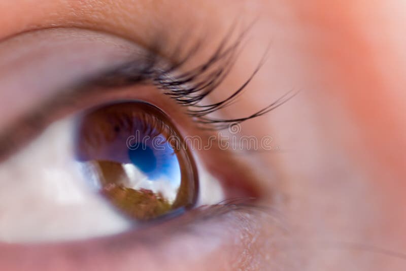 Waterfall brown eye stock photo. Image of nature, waterfall - 147943902