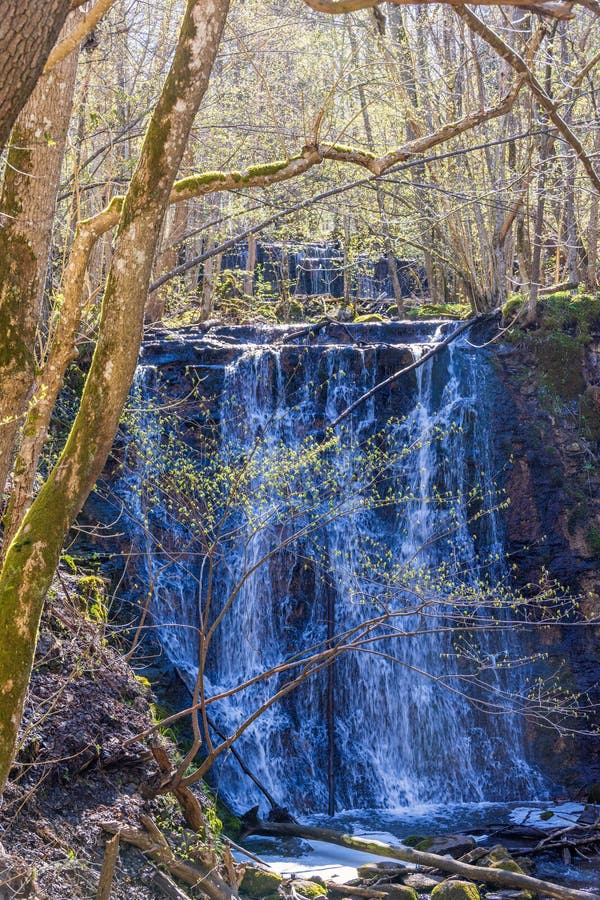 Waterfall in a Budding Forest at Spring Editorial Photography - Image ...