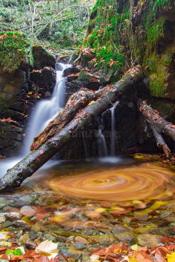 Waterfall in Bulgaria, Strandzha Mountain Stock Image - Image of ...