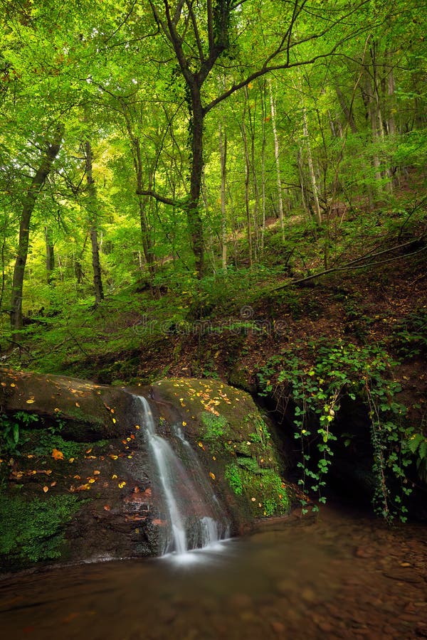 Waterfall Butzerbachtal during Fall in the Eifel, Germany Stock Photo ...