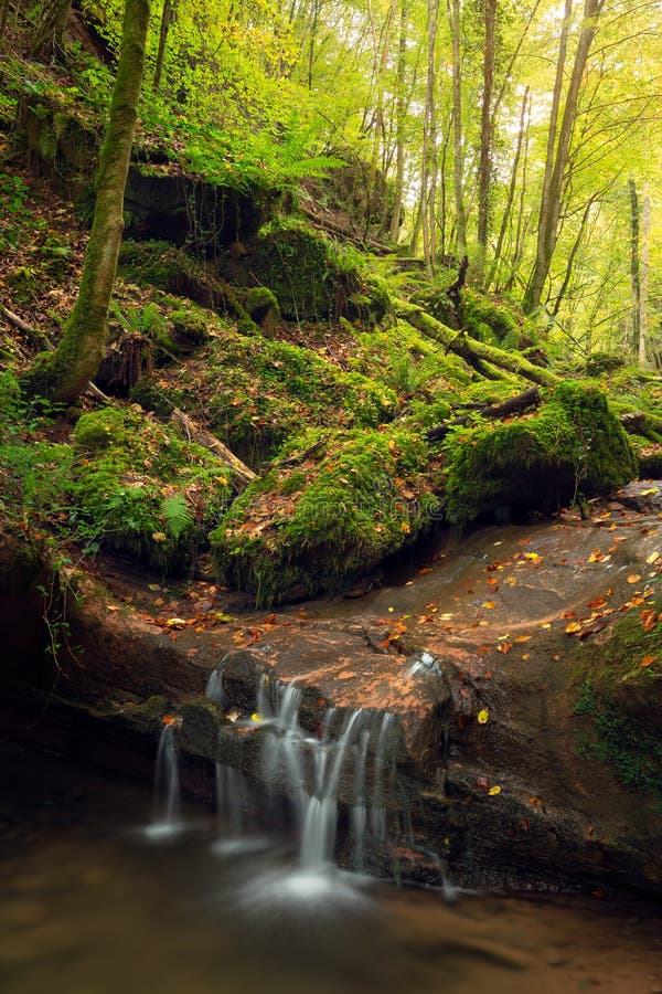 Waterfall Butzerbachtal during Fall in the Eifel, Germany Stock Photo ...