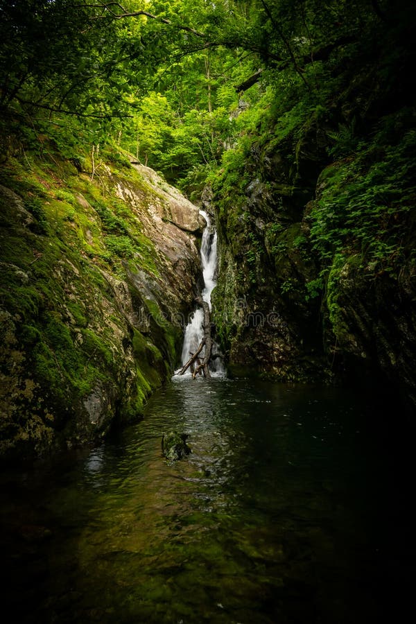 Waterfall in Canyon through Cedar Run Stock Photo - Image of shenandoah ...