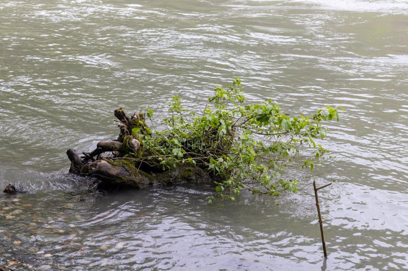 Waterfall and Canyon of a Mountain Stream, the Source of the Water ...