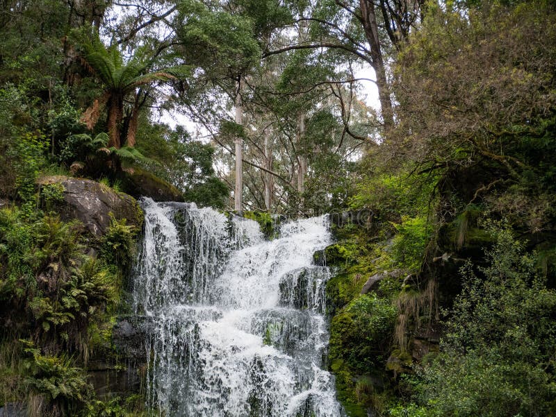 Waterfall Cascade in a Wild Jungle Stock Image - Image of nature ...