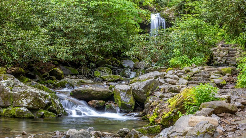 Waterfall Cascades through a Dense Forest Setting Stock Photo - Image ...