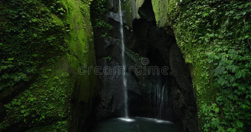 Waterfall Cascades Down Rocky Cliff in Lush Forest Stock Footage ...