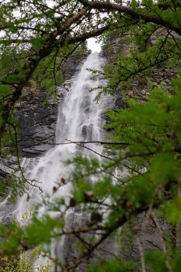 Waterfall Cascading Behind Green Tree Branches. Stock Image - Image of ...