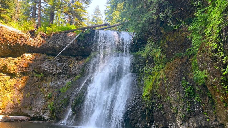Waterfall Cascading Down a Rocky Cliff in a Forest. a Stunning ...