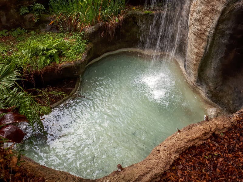 Waterfall Cascading into Rock Pool in the Jungle Stock Photo - Image of ...