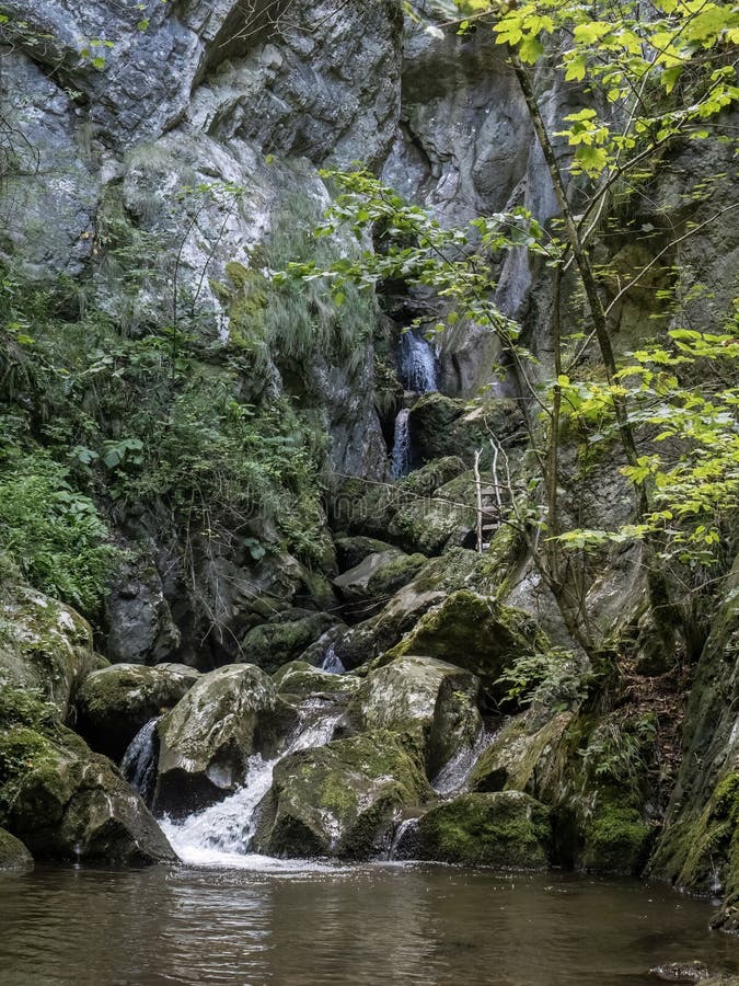 Waterfall on Cerna Valley , in Caras Severin, Near Cerna Sat. Stock ...