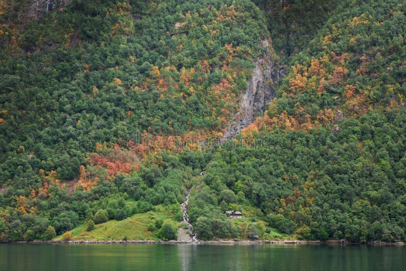 Waterfall and Cliff in Geiranger Fjord Stock Image - Image of leaf ...