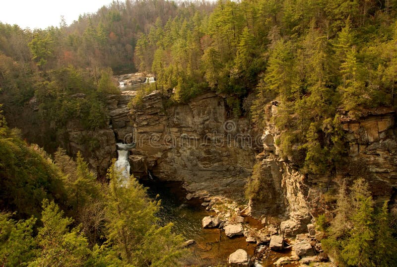 Mountain Side Forest Picture. Image: 99940224