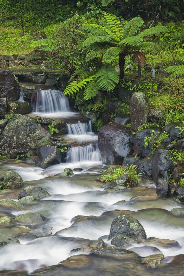 Waterfall stock photo. Image of nature, cascade, beautiful - 66789992