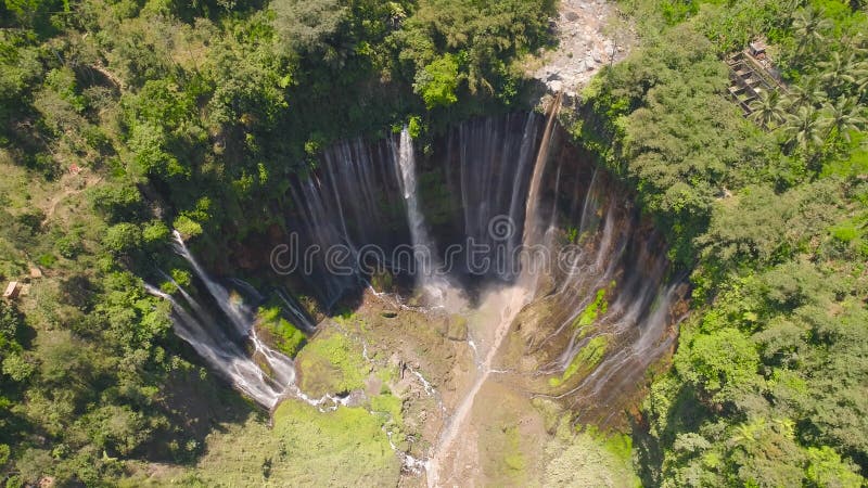 Waterfall Coban Sewu Java Indonesia Stock Footage - Video of plant ...