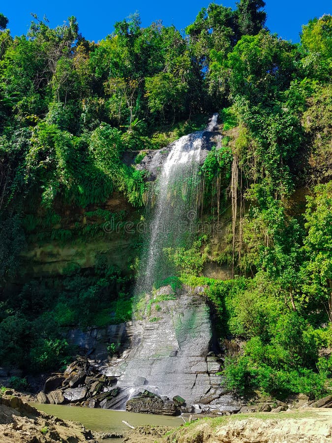 Waterfall Coming Down from a Hill Forest Stock Photo - Image of ...